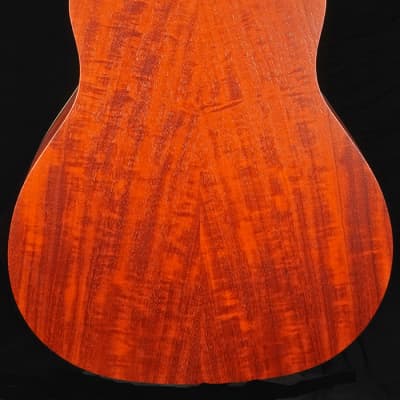 Iris DE-11 Dan Erlewine Signature Model Sunburst | Reverb