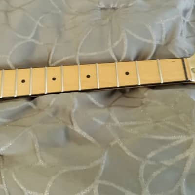 Squier contemporary neck - Roasted Maple Gold Headstock Face | Reverb