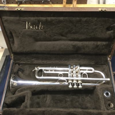 Bach Stradivarius #M/L Bore Cornet #37 , Bach 6 mouthpiece & | Reverb