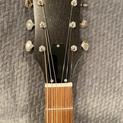 Gronlund Model R16 - TV Jones Classic Pickups Myrtle Top | Reverb