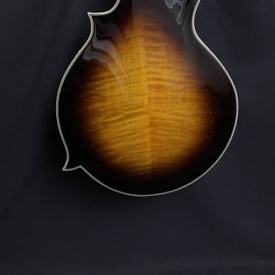 Gold Tone F-6+ Mando-Guitar 6-String Mandolin w/pickup, | Reverb