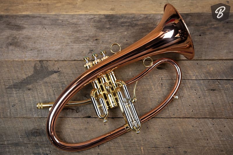 Taylor Phat Boy Flugel Copper Bell in Lacquer with Gig Bag | Reverb