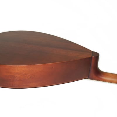 Folk Ukrainian 6 Six Strings Acoustic Guitar Lute Traditional | Reverb