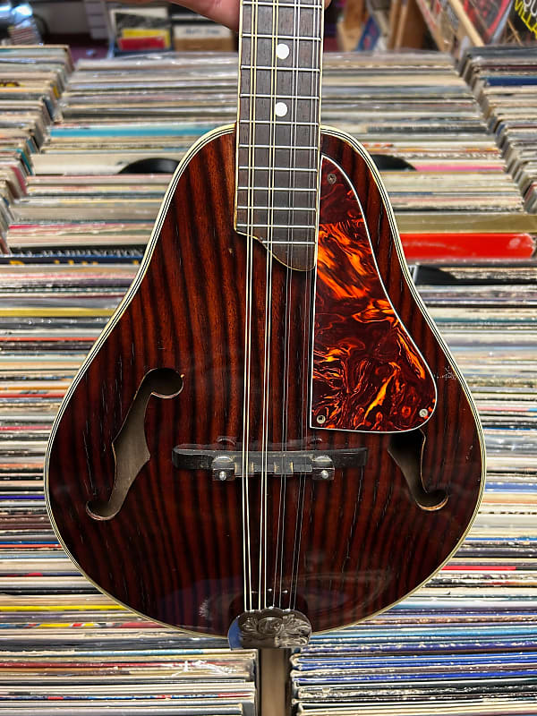 KAY A-100 MANDOLIN - 1960s / 1970s - ROSEWOOD | Reverb