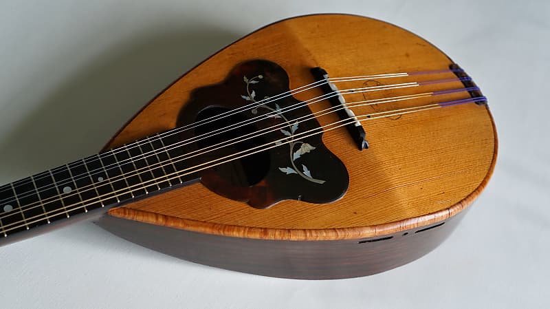 Mandolin by Giuseppe Carbone, Antique Italian Flat back dated | Reverb