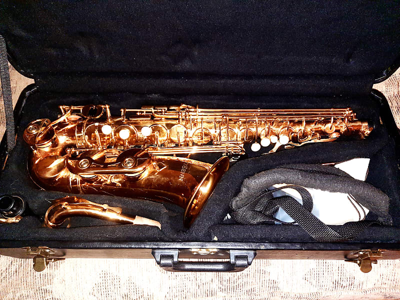 TYGENN ALTO SAX AS-87 intermediate quality sax with heavy | Reverb