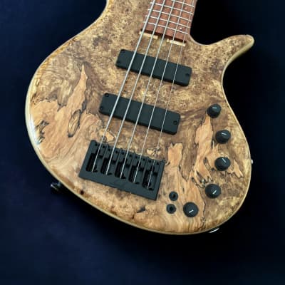 Elrick Basses Evolution Gold 5 - Spalted Maple 2024 - Satin | Reverb