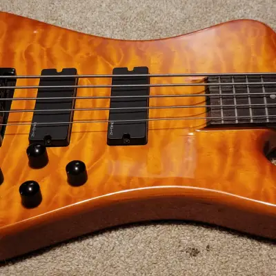 Spector Rex 5 Amber | Reverb