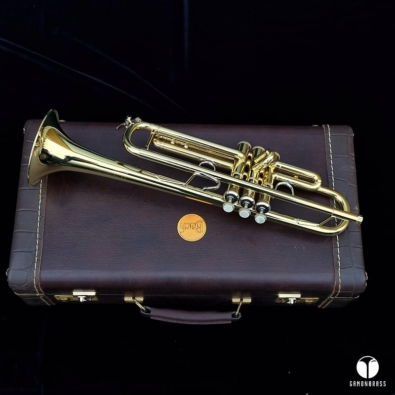 Bach Stradivarius 37 25LR Reverse trumpet case mouthpiece | Reverb