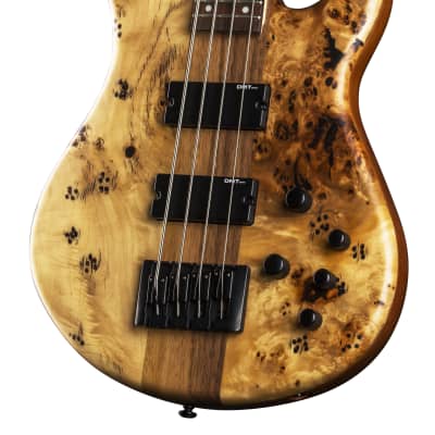 Dean Edge Select 4-String Bass, Burled Poplar, E4 SEL BRL, | Reverb
