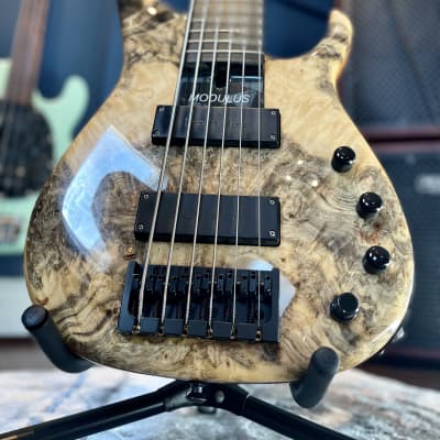 Modulus Quantum 6 - rare Buckeye Burl top! | Reverb