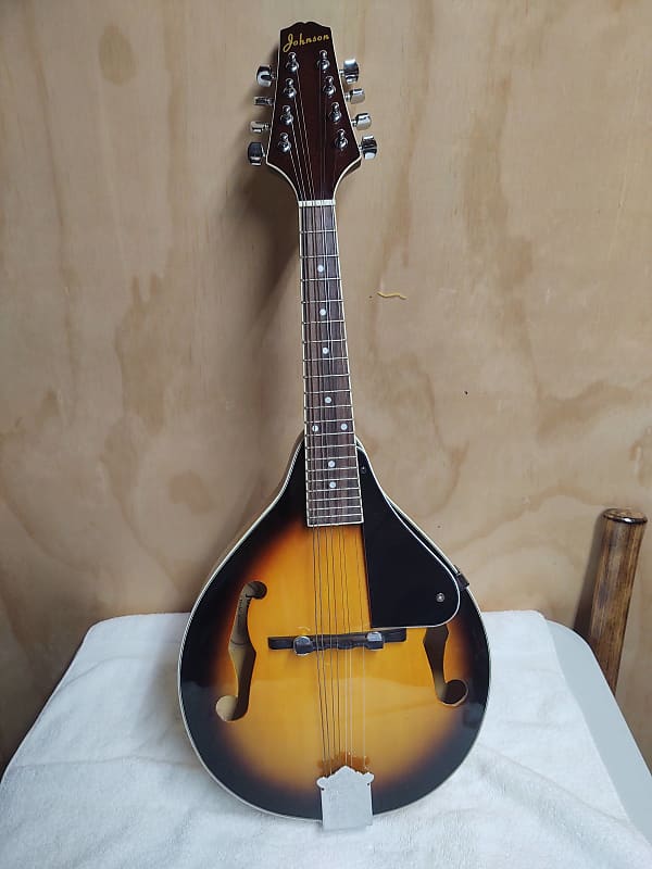 Johnson Mandolin with Soft Shell Case | Reverb