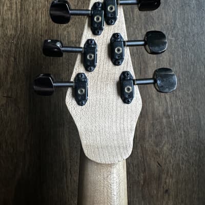 6-string Electric Violin from EVL Electric Violin Lutherie | Reverb