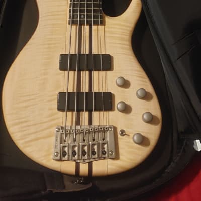 Cort Artisan Series A6 6-String Electric Bass, Open Pore | Reverb
