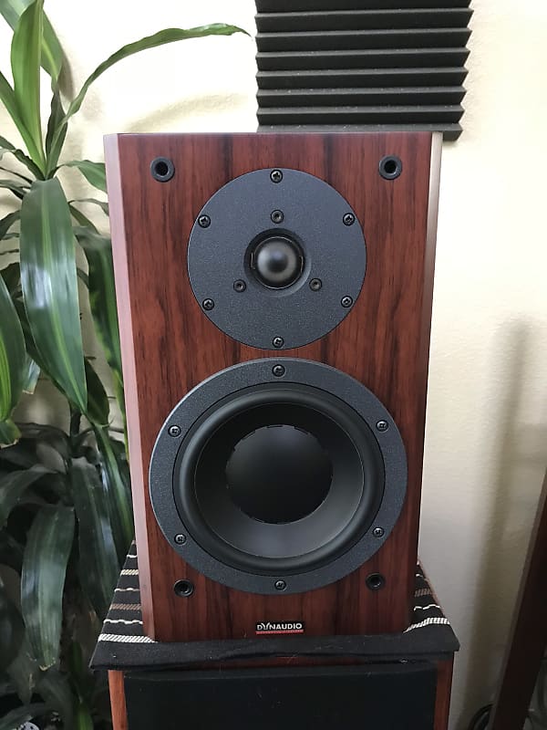Dynaudio Focus 140 - Rosewood | Reverb