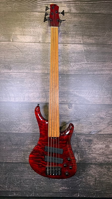 Custom 5 String Bass Guitar (Richmond, VA) | Reverb