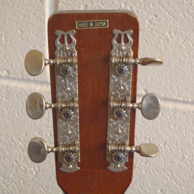 Vintage 60's Westbrook Acoustic, MIJ , with Case | Reverb