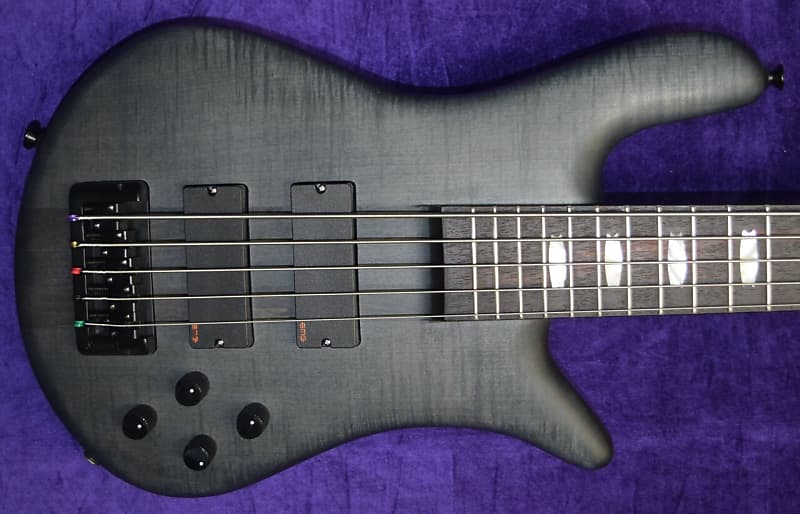 Spector Euro 5LX, Trans Black Stain Matte w/ Rosewood | Reverb