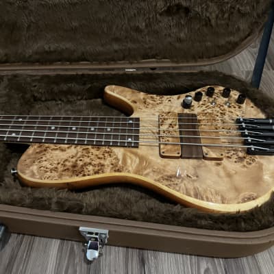 Camazon Explorer 2022 - Poplar Burl Headless 5 String Bass | Reverb