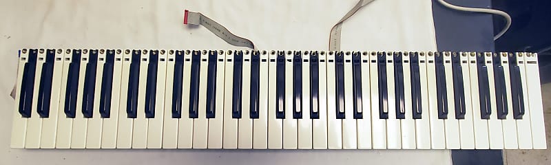 Fatar TP/9S 61-key assembly | Reverb