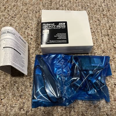 Roland GK-KIT-BG3 Divided Bass Pickup Kit | Reverb