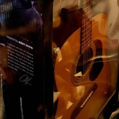 First Act 222 Dreadnought Acoustic Guitar Adam Levine | Reverb