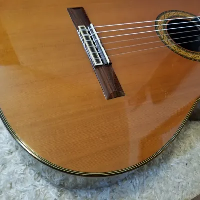 Takamine No.5 | Reverb UK