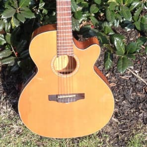 Cort nylon Strung thin line Hybrid Classical CEC5 Fishman Pu. | Reverb