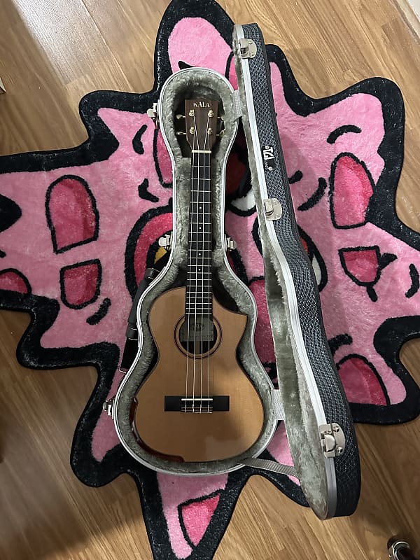 Kala SRT-CTG-CE 2014 - Matte | Reverb