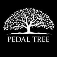 Pedal Tree A/B Switch Guitar Bass Footswitch | Reverb Deutschland