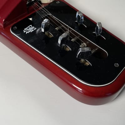 Taisho Goto Japanese Peacock Harp SUZUKI RAN Electric w/New | Reverb