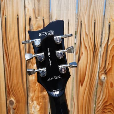 ESP LTD SIGNATURE SERIES - Vintage Silver Sunburst Bill | Reverb