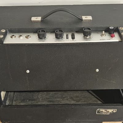 Thorcraft Mustang G40 1960s - vintage point to point tube amp | Reverb