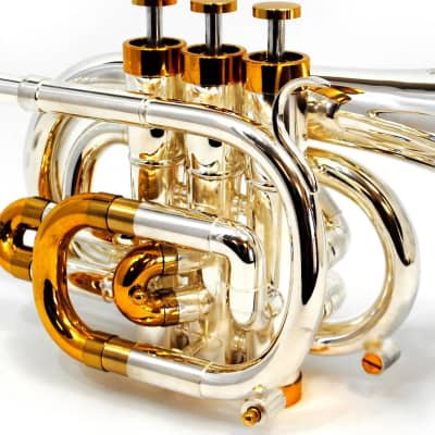 Schiller CenterTone Pocket Bb Trumpet - Silver & Gold Plated | Reverb