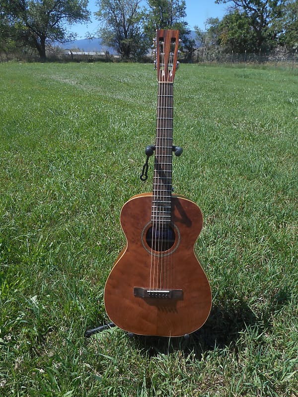 "The Tree" Quilted Mahogany Size O Acoustic Guitar Quilted | Reverb