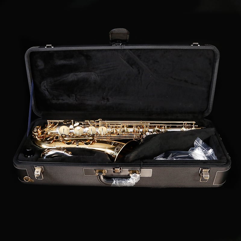 Yanagisawa TWO30 Professional Bb Tenor Saxophone, Sterling | Reverb