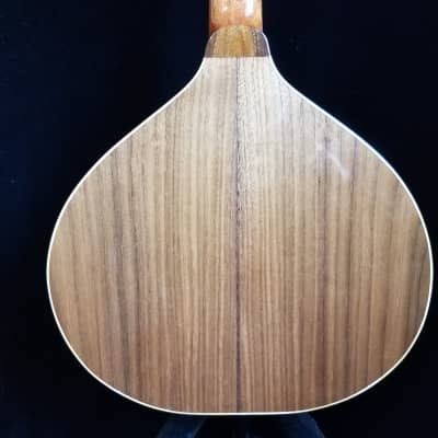 Thomas Buchanan 10 String , 5 course Mandolin / Mandola | Reverb