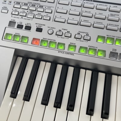 Yamaha Tyros 1 Digital Workstation Keyboard, Retro Vintage | Reverb
