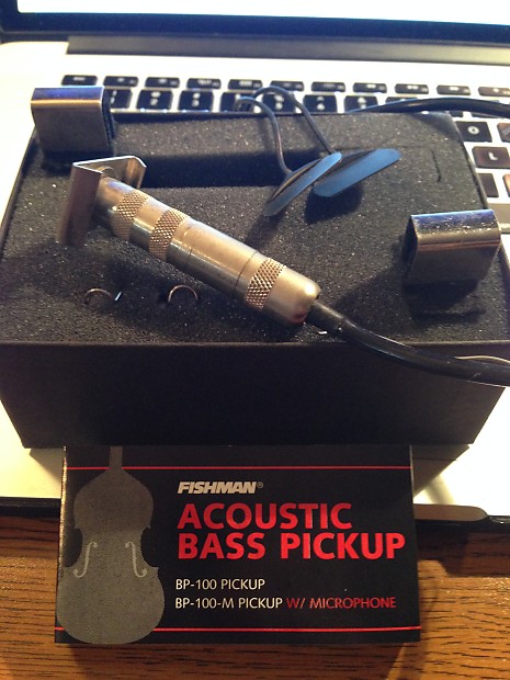 Fishman BP-100 | Reverb