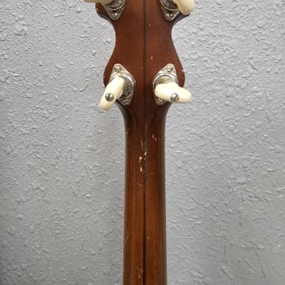 VEGAPHONE PRO 20'S PLECTRUM | Reverb