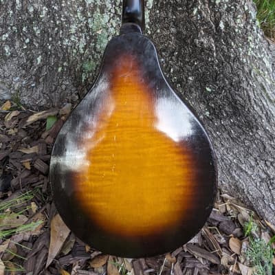 Stradolin Mandolin 1938 - Sunburst with New Frets | Reverb