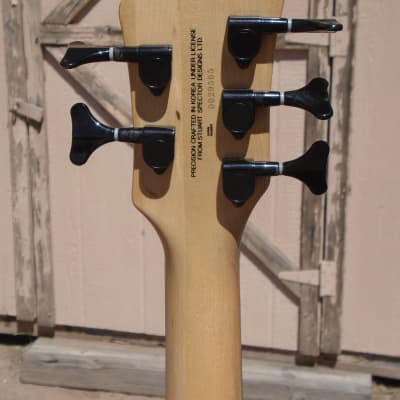 Spector Q5 Fretless 5-String Bass - Custom Unlined Wenge | Reverb