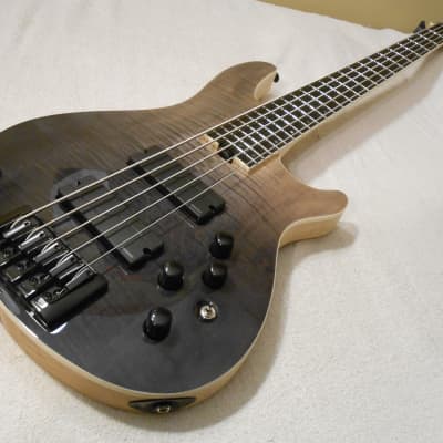 Mobius Megatar - Black/Tan With soft case. | Reverb
