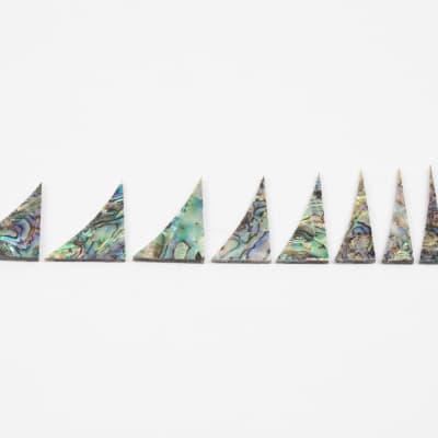 Set of 10 Real Abalone Pre-cut Shark Inlays for Custom Guitar | Reverb