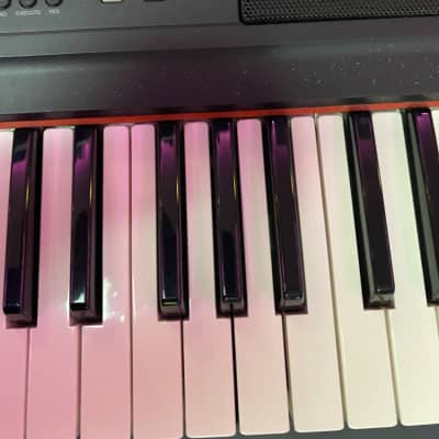 Yamaha Piaggero NP-V60 Keyboard | Reverb