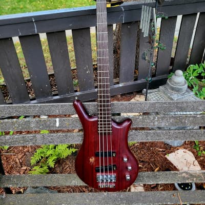 Warwick Dolphin Pro 1 | Reverb