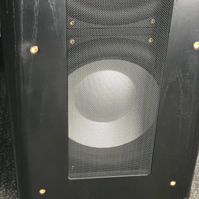 Thiel SS2 Smartsub 1000W Powered Subwoofer with 10" Aluminum | Reverb