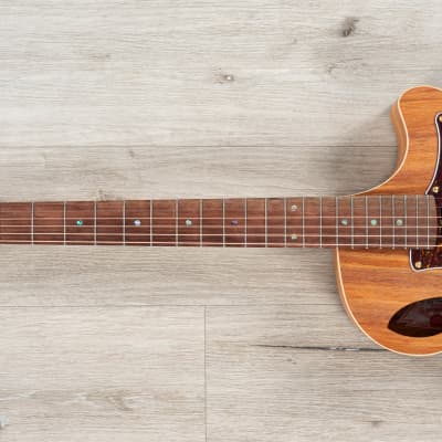 Cole Clark TL2EC-BLBL-HH True Hybrid Thinline Grand | Reverb