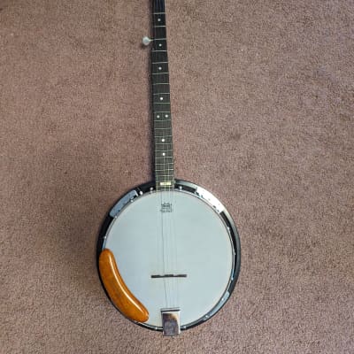 Delta 5-string Banjo | Reverb
