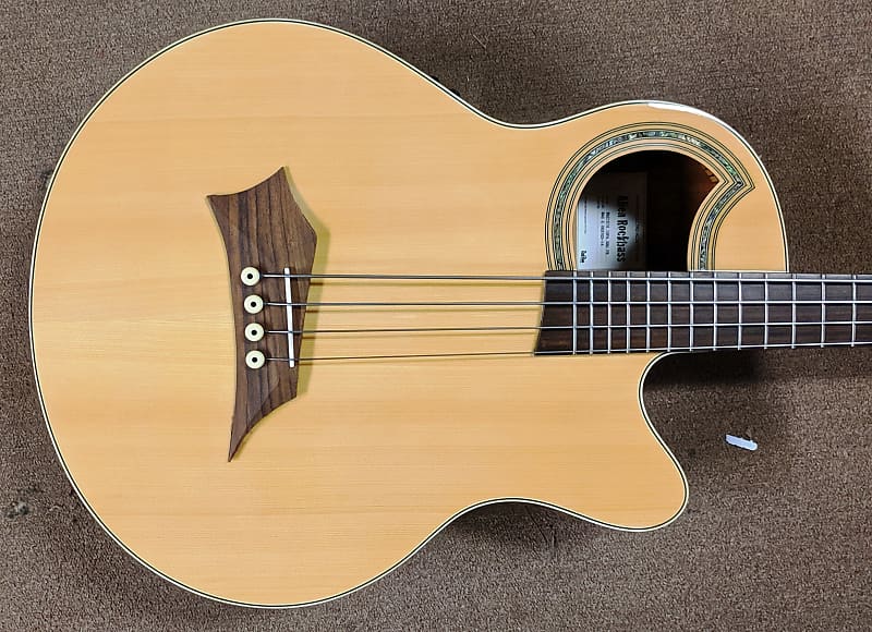 Warwick Alien Standard Rockbass 4-String Acoustic-Electric | Reverb